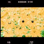 Subterranean by T. De Los Reyes – FIVE SOUTH